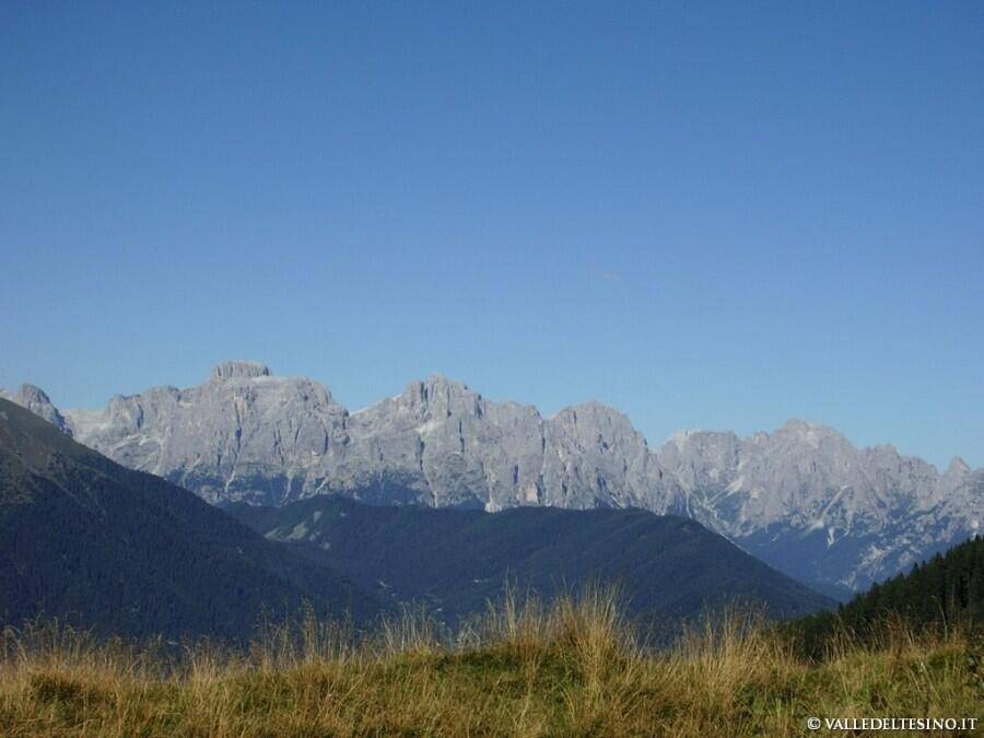 Passo del Brocon / Natura / Gallerie fotografiche / Territorio / Scopri ...